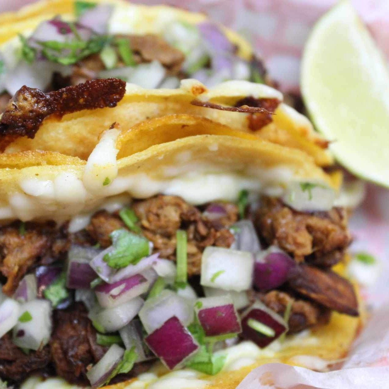 Birria Tacos (Shredded Beef) | TacoDero